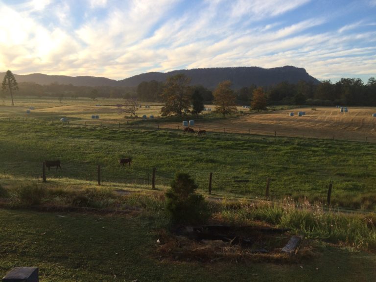 The Bago Bluff XCM - a buckler | MarathonMTB.com